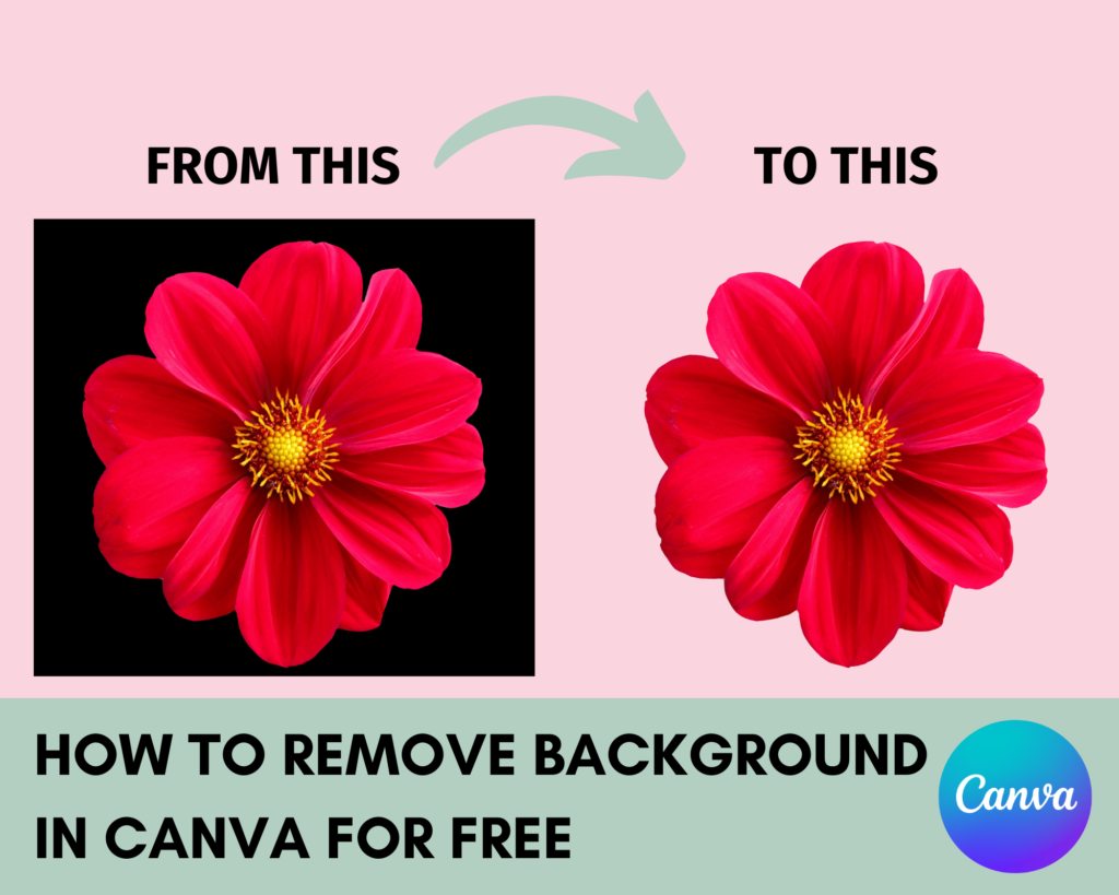 3 Solutions on How to Remove Background in Canva for Free - GraphiCarola
