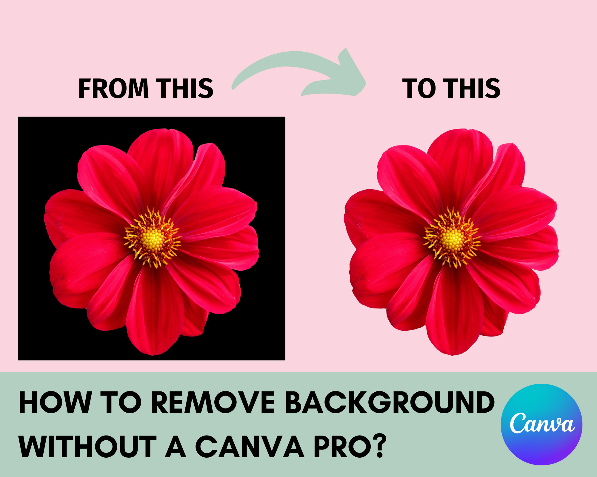 Solution on How to Remove Background without Canva Pro - GraphiCarola